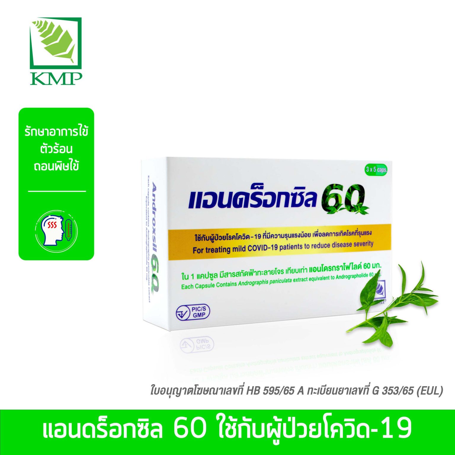 แอนดร็อกซิล 60 - แก้วมังกรเภสัช